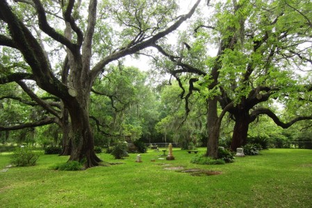 Historic Texas Cemeteries | Historic Houston: